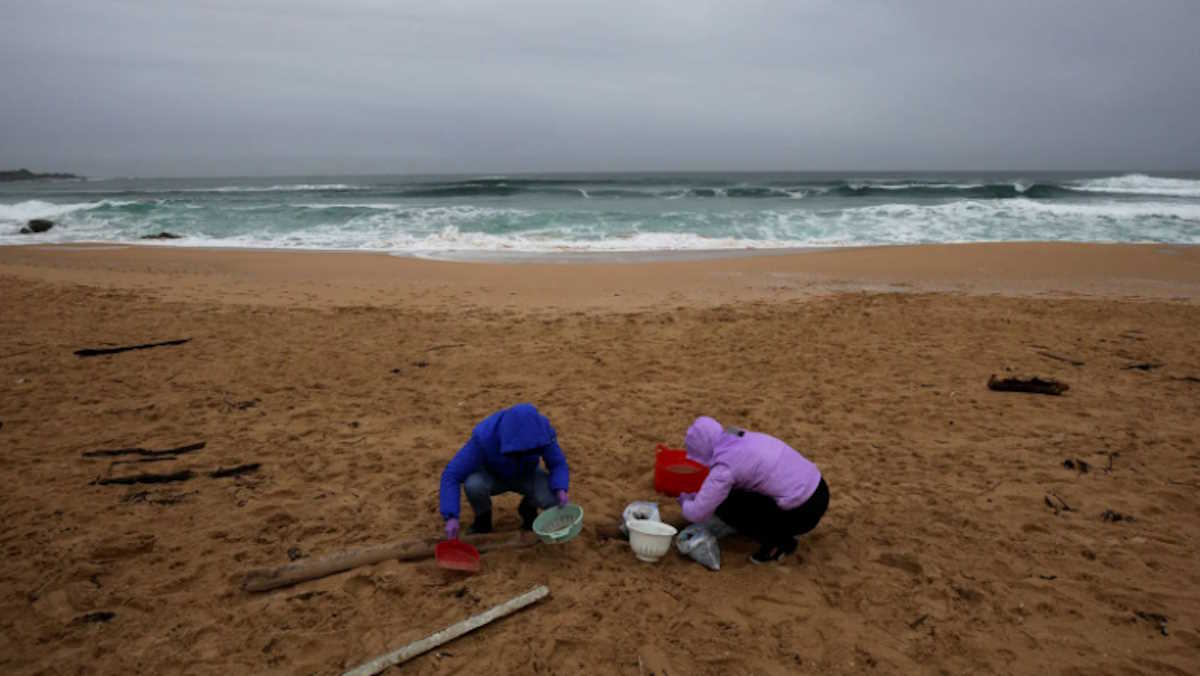 Plastic pellets polluting Spanish beaches after container ship spill ...
