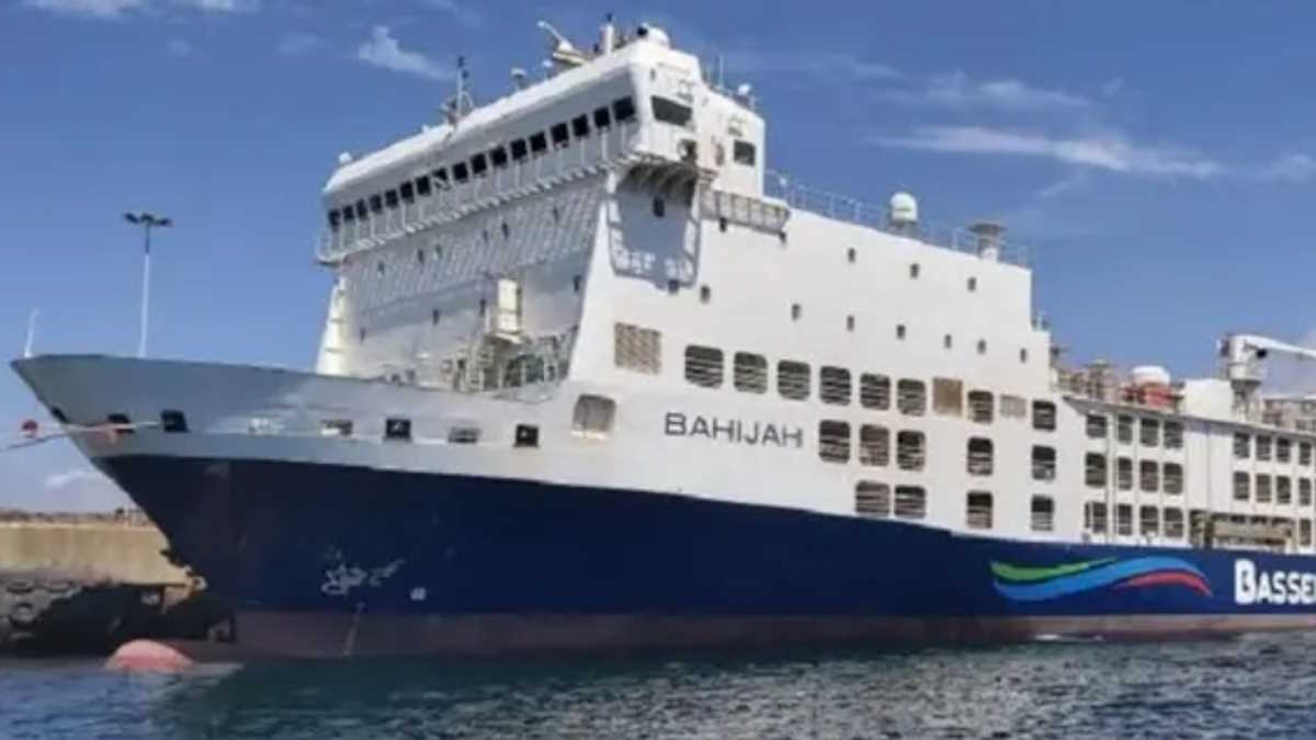 Ship carrying 16,000 sheep and cattle stranded off Australia | News ...