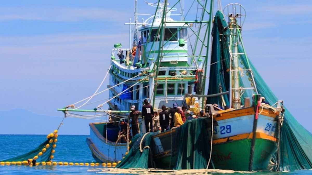 Fishers' Rights Network calls on Thai government to enforce C188 | Agrifish | POST Online Media