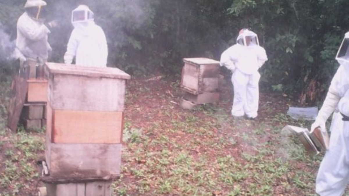 Belize: OIRSA hands over small hive beetle traps | Agrifish | POST ...