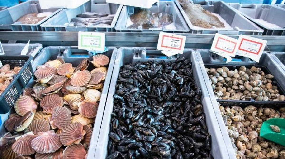 EU and U.S. resume trade of bivalve molluscs | News | POST Online Media