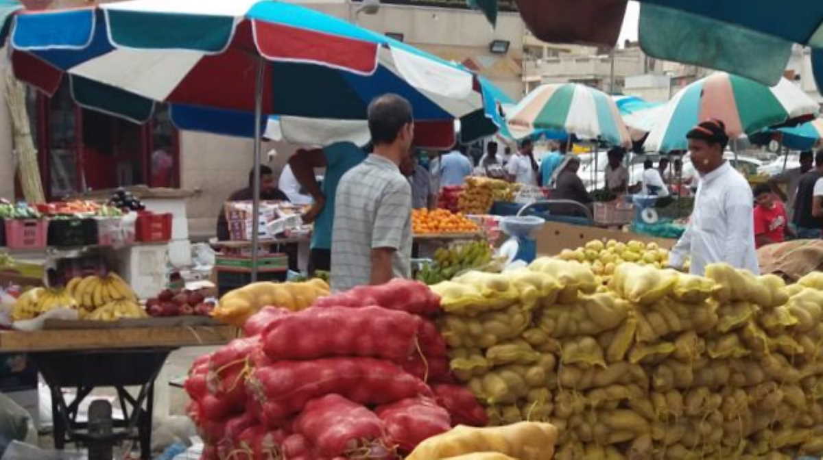 Saudi Arabia growers gear up for potato exports | Agrifish | POST ...