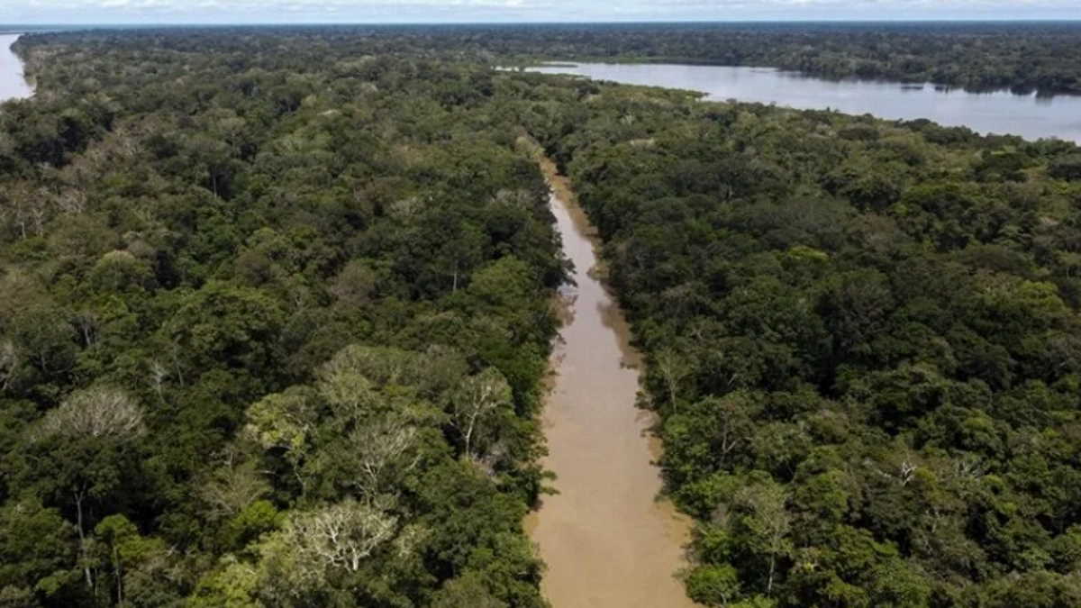 Amazon deforestation in Brazil drops 68% in April | Meantime | POST ...