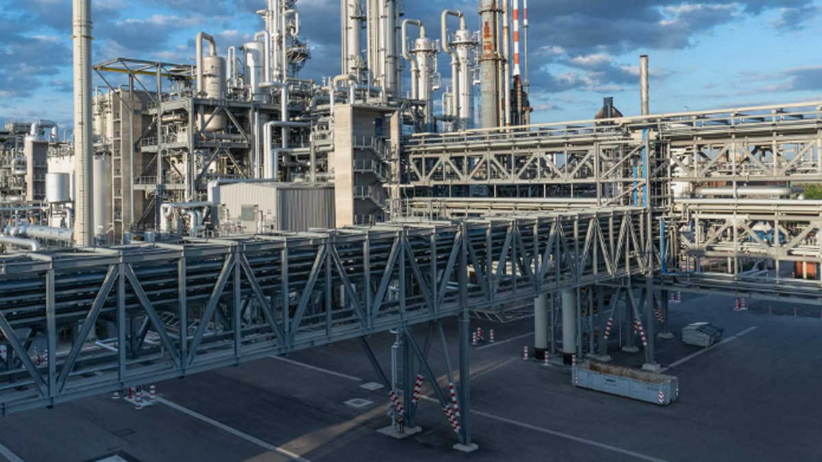 BASF and Cargill expand their partnership to offer enzyme solutions to ...