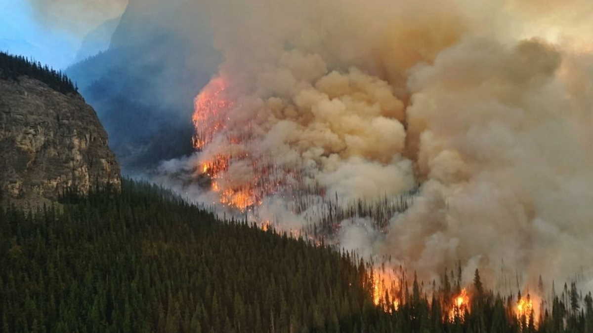 Canadian forest fire fumes heading towards Portugal | News | POST ...