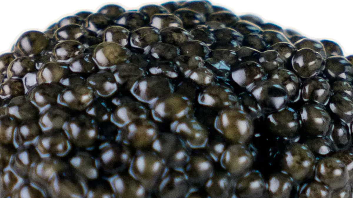 Russia launches experiment on red and black caviar labeling | Agrifish ...
