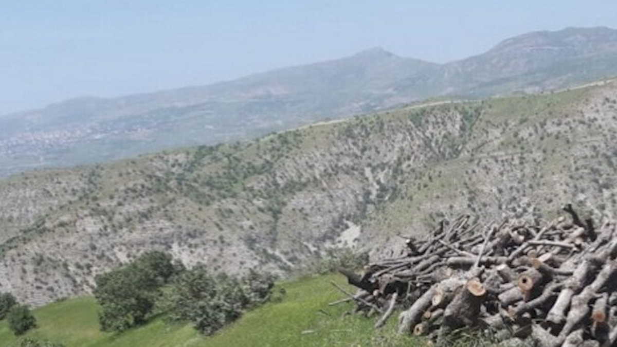 Türkiye discovered natural gas reserves worth $1 billion | Business ...