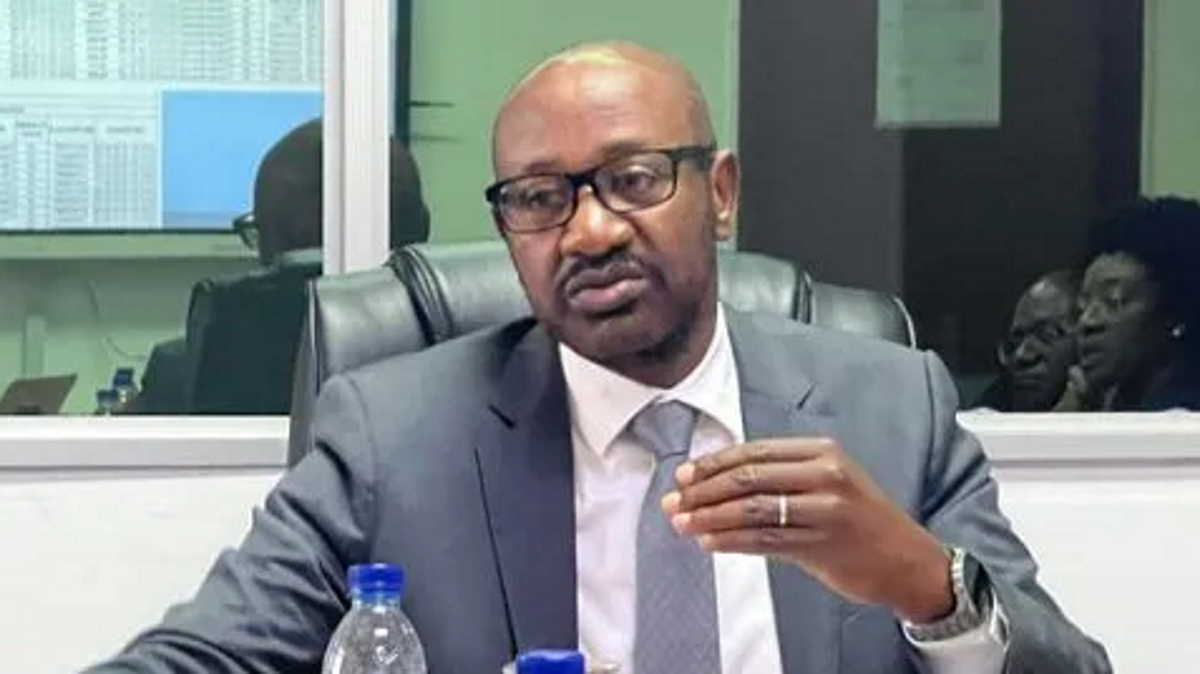 Mozambique to build EV battery plant for global market | Politics ...