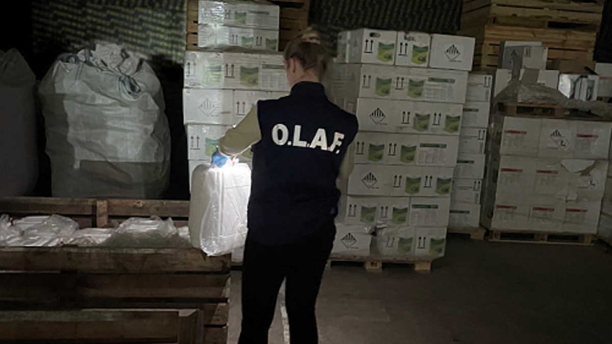 OLAF in operation against illegal trafficking of eels | Agrifish | POST ...