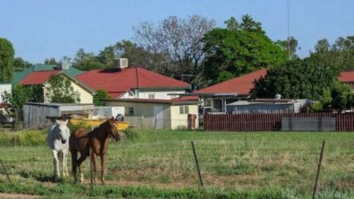 Why do small rural communities often shun newcomers, even when they ...