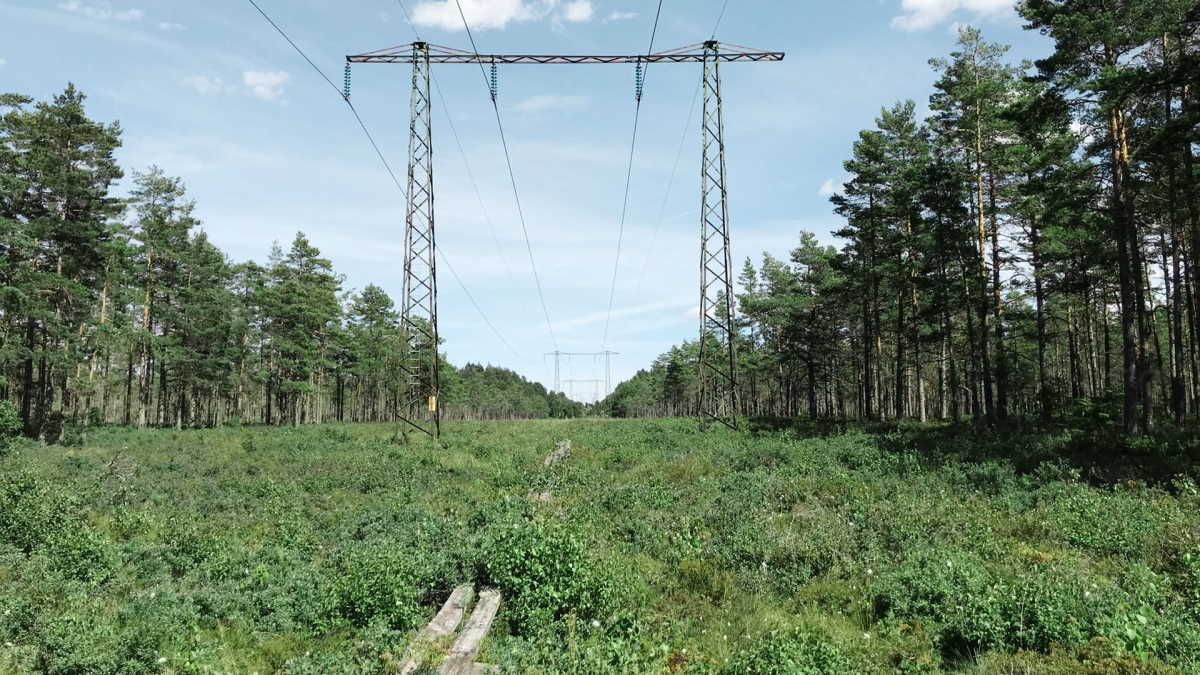 Vattenfall converts power line corridors into biodiversity sanctuaries ...