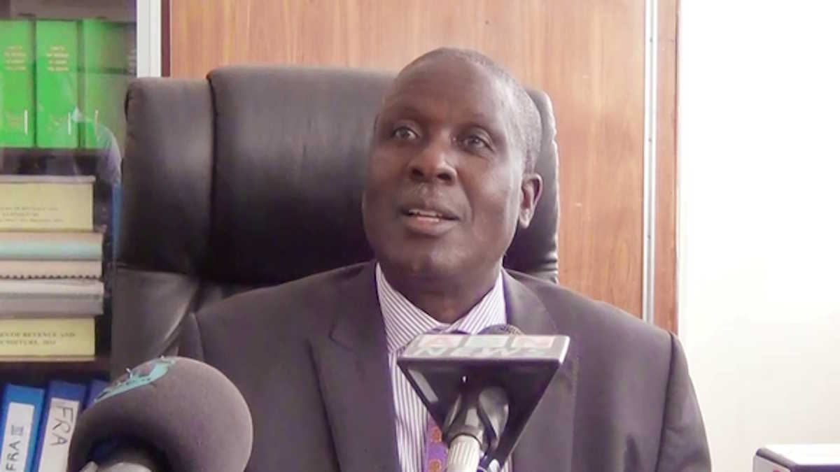 Zambia announces restrictions on maize exports | Agrifish | POST Online ...