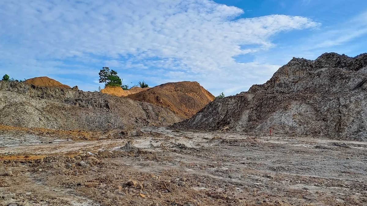 Vizsla Copper to buy Universal Copper | Companies | POST Online Media