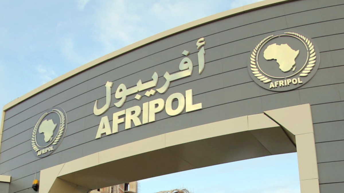 Pharmaceutical crime: First Interpol-Afripol front-line operation sees ...