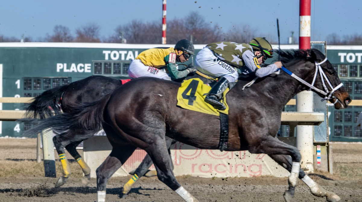 Pennsylvania State Horse Racing Commission launches Integrity Hotline ...