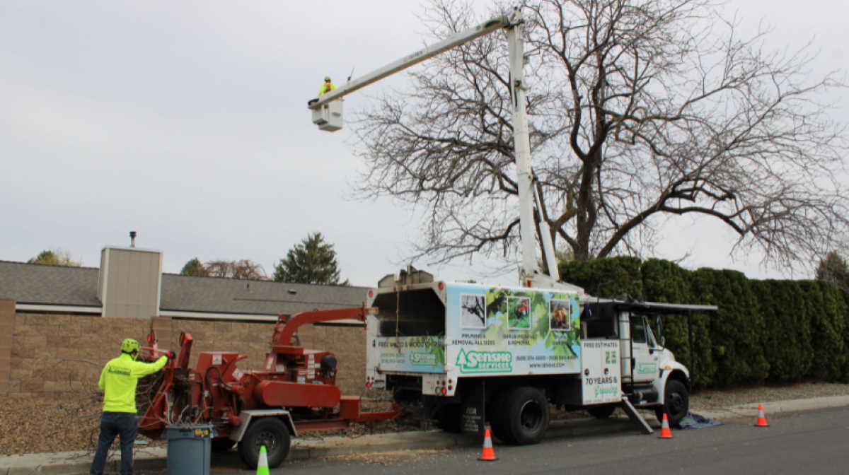 Senske Services partners with Rentokil | Companies | POST Online Media