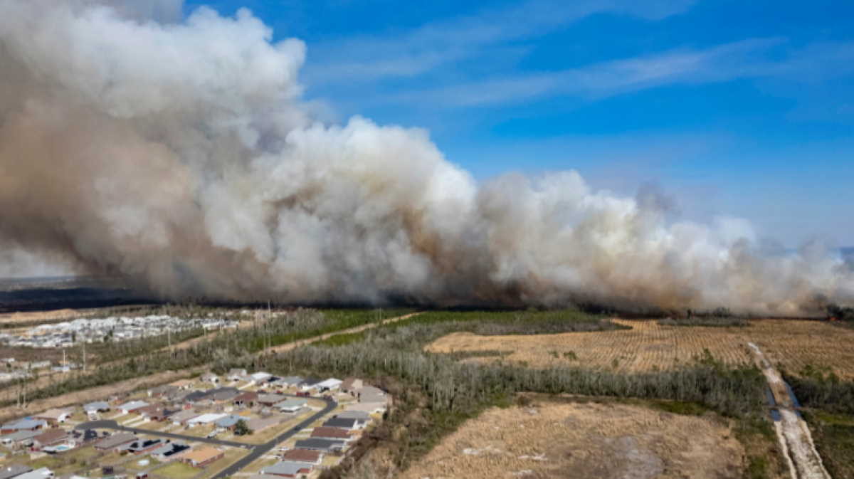 Wildfires grow in Florida, force evacuation of 600 homes | News | POST ...