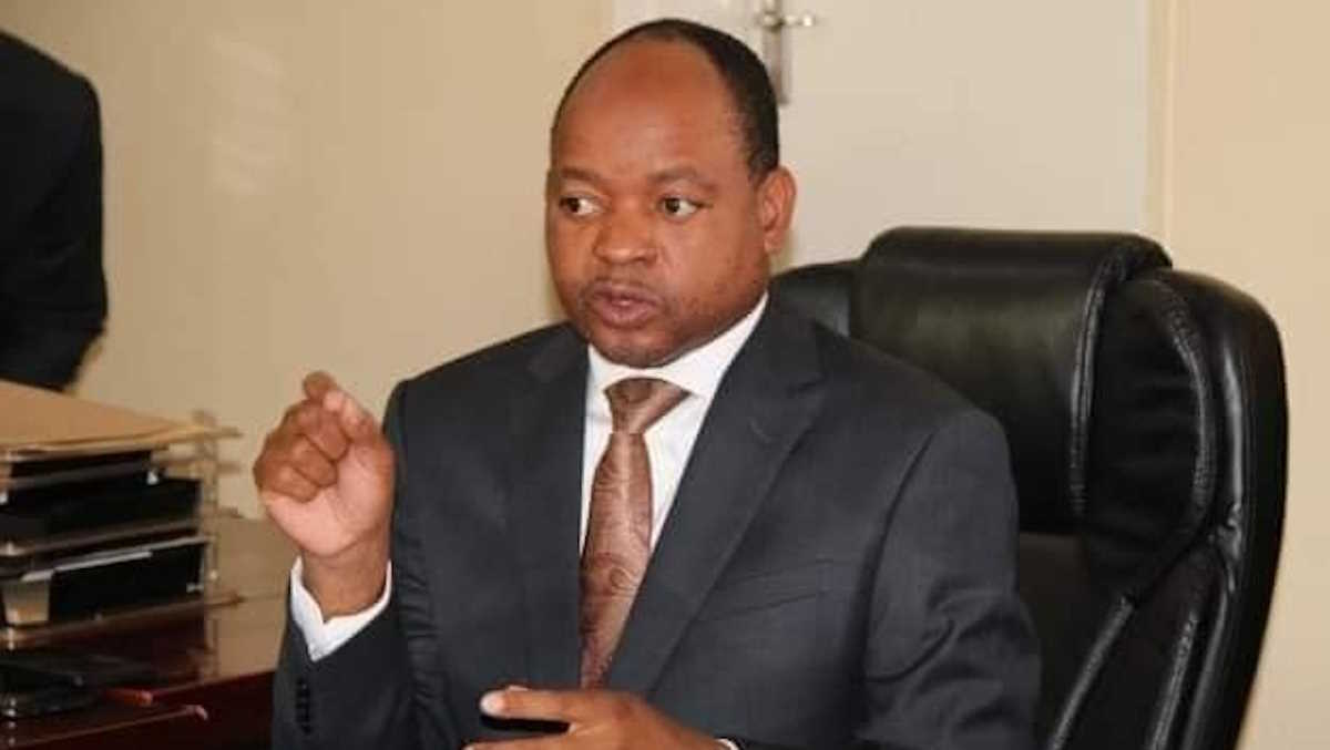 Zambia allows wheat imports to address domestic shortfall | Agrifish ...