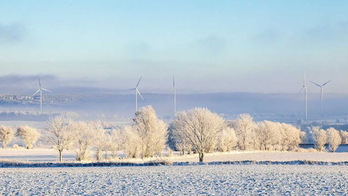 Hydro Rein partners with IOWN Energy for large-scale wind power ...