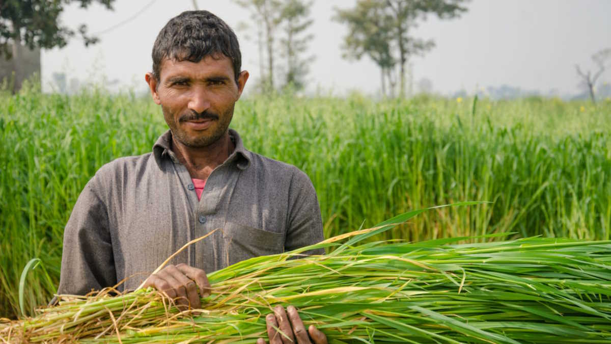 Pakistan's food exports surge 54 pct in first 8 months of FY 24 ...