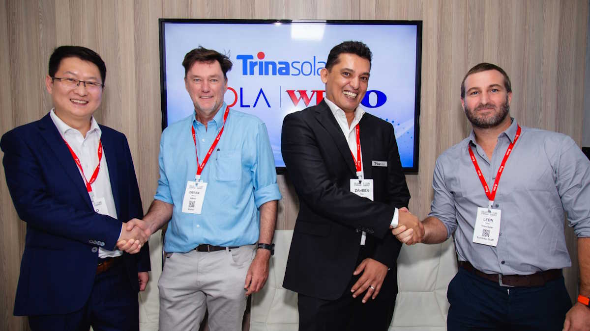 Partners to launch 195MW Springbok utility project using Vertex N ...