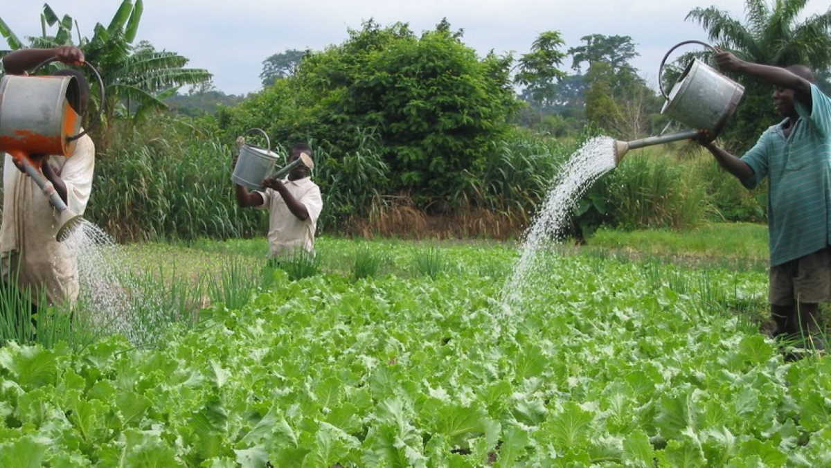 Global Water Resources acquires Farmers Water Company | Companies ...