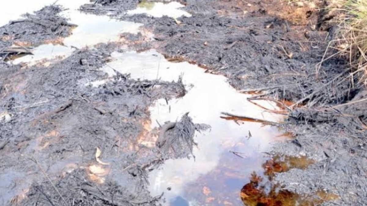 Oil spill on Shell facility in Nigeria | News | POST Online Media