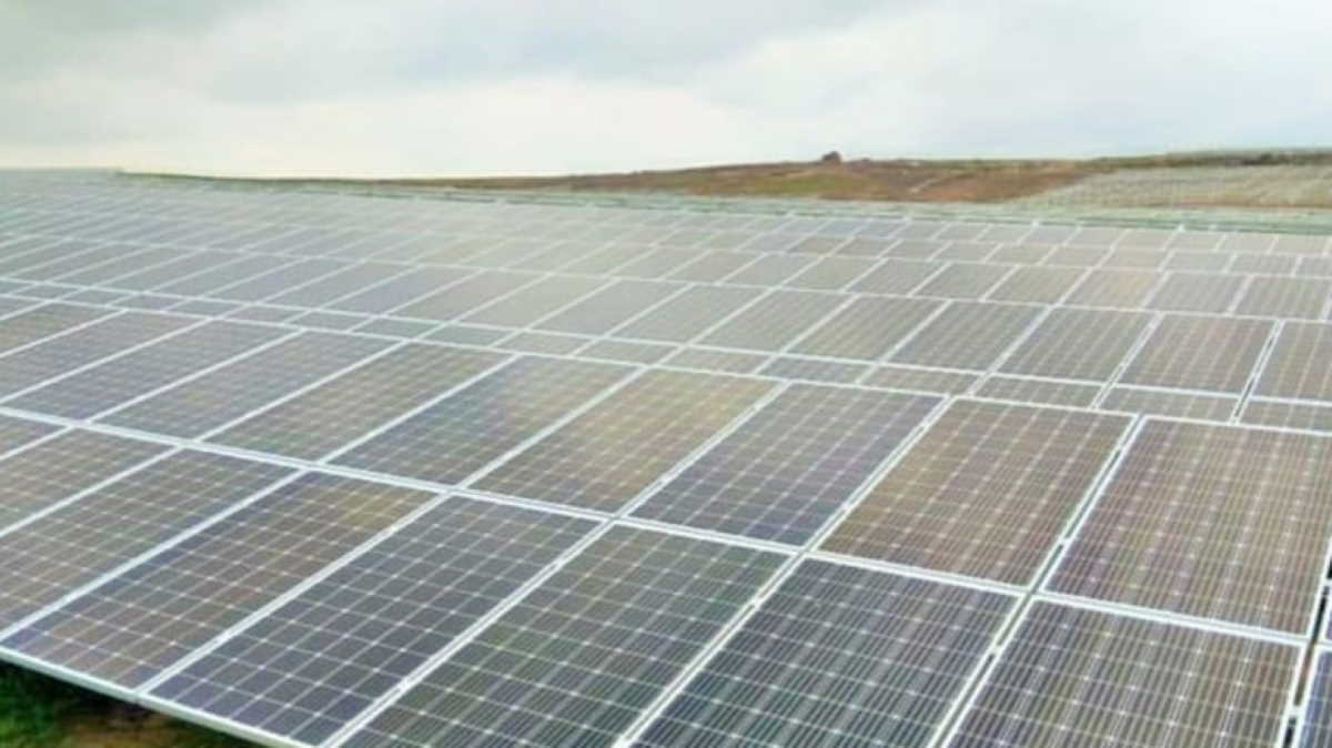 Torrent Power acquires 50 MW solar power plant from SkyPower Group ...