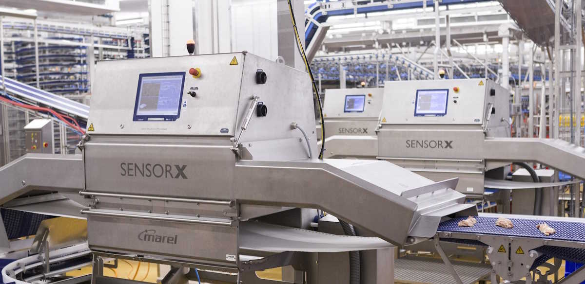 Marelâ€™s SensorX revolutionizing bone detection in food processing ...