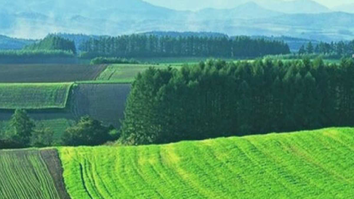 Analytical survey: Sales of agricultural lands in Ukraine up 50% in ...