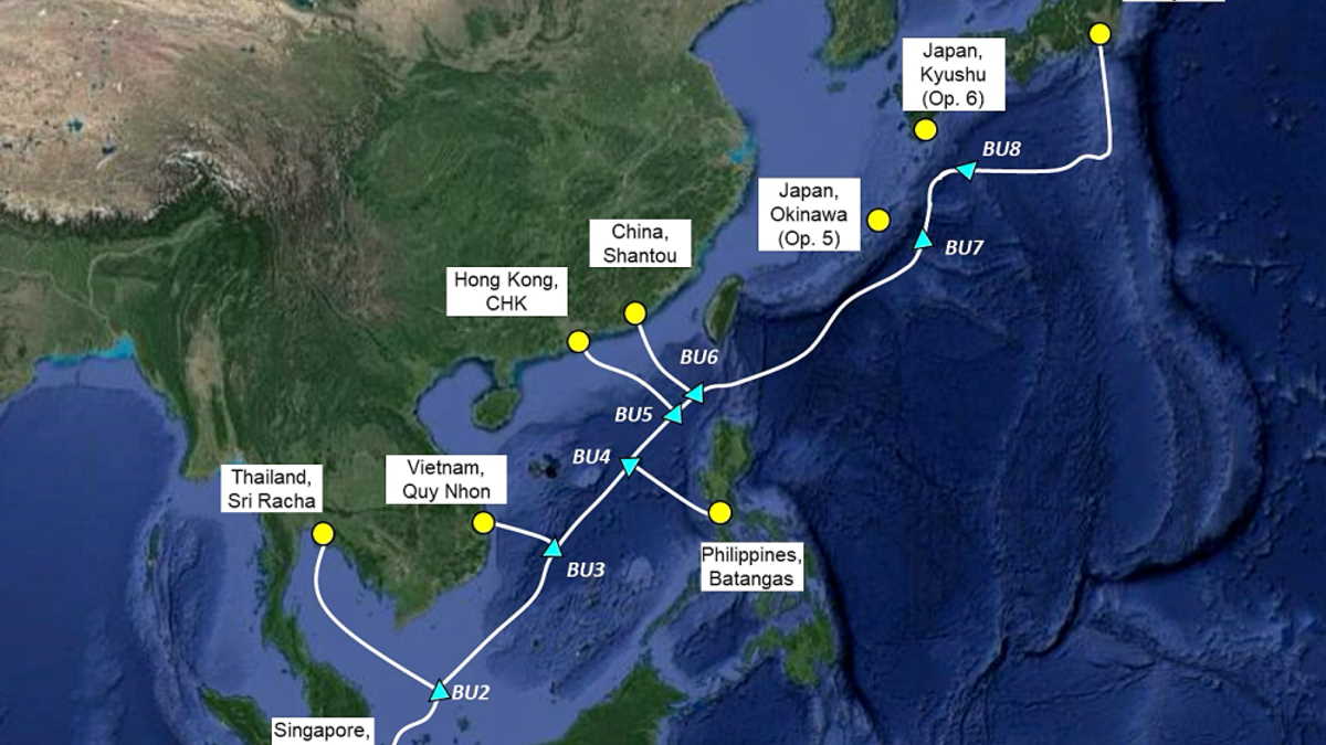 Submarine cable line with largest capacity in Vietnam begins operation ...
