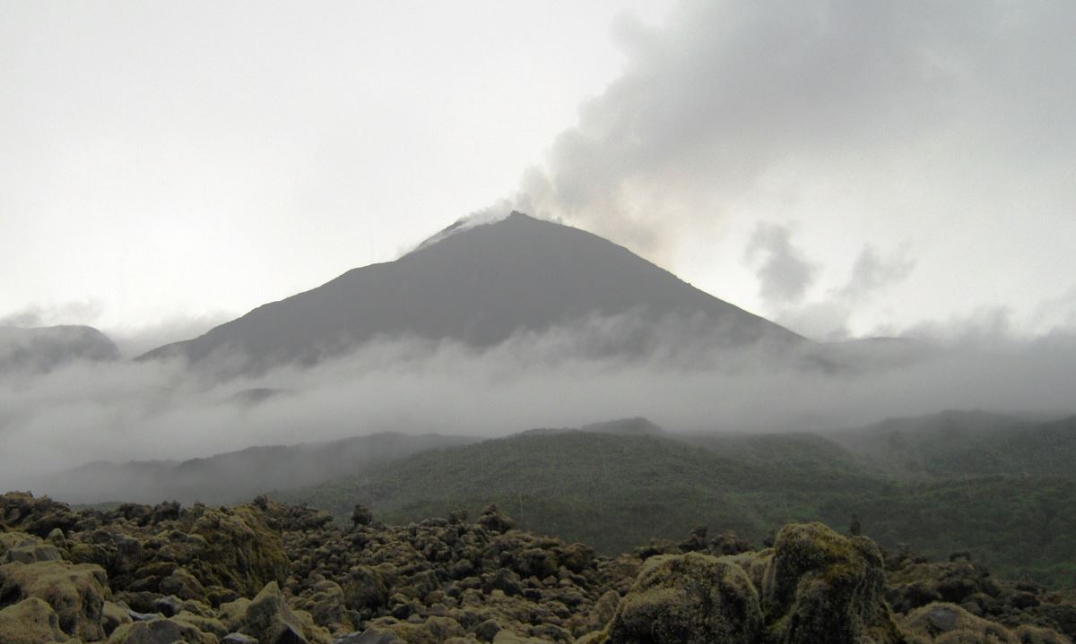 Ecuador's El Reventador volcano lights up night sky | News | POST ...