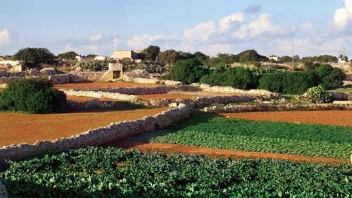 Commission approves €30 million Maltese scheme to support importation ...