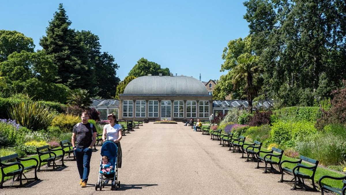 Sheffield Botanical Gardens to host tree festival | Travel | POST ...