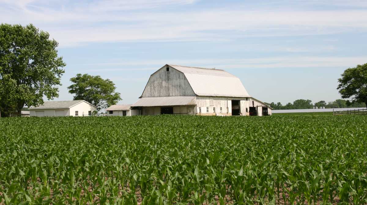 Largest amount of farms in history of Delaware preserved for future ...
