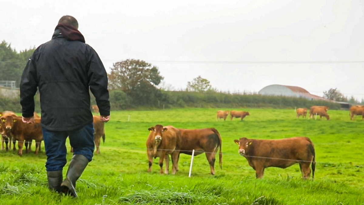 Tech and innovation drive to boost food production and back British ...