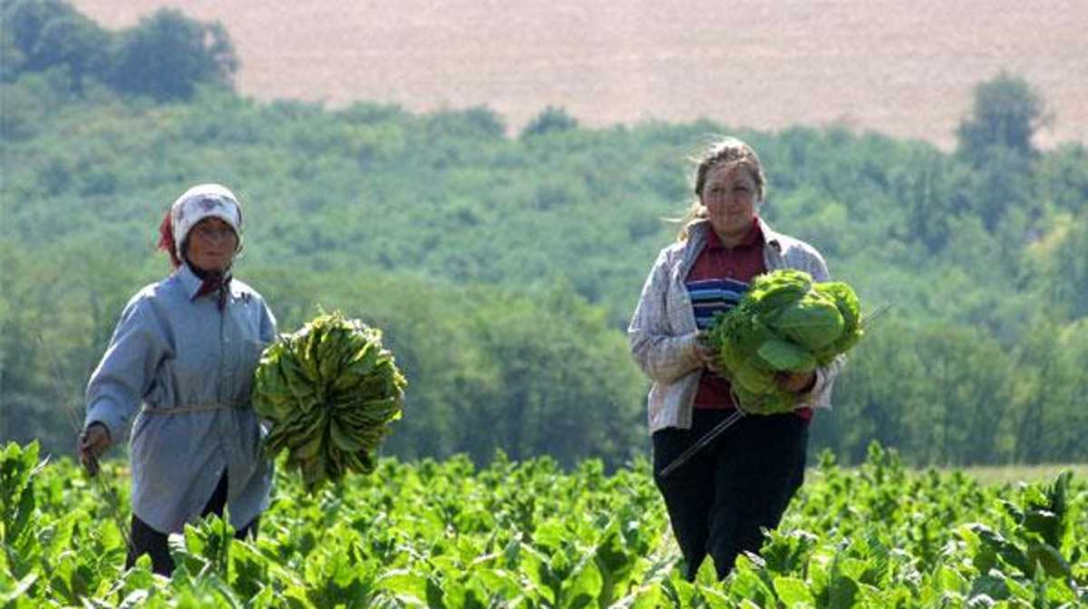 Bulgaria adopts national plan for organic farming development ...