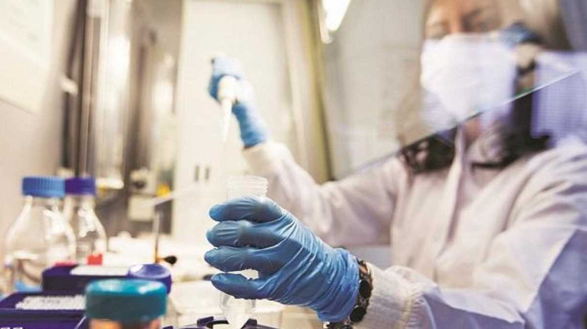Pharma giant Cipla to establish JV with Chinese company | Companies ...