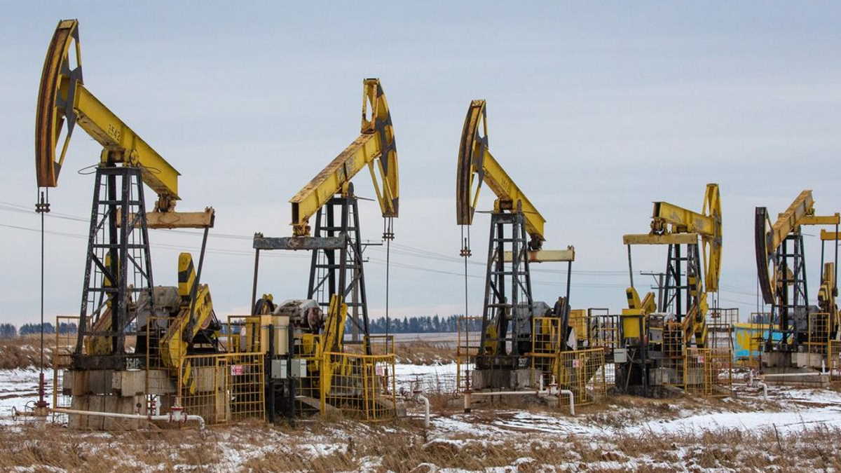 Rosneft starts construction of huge Arctic oil terminal | Companies ...