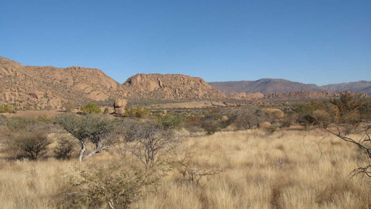 Rosatom discovers new major uranium deposit in Namibia | Companies ...