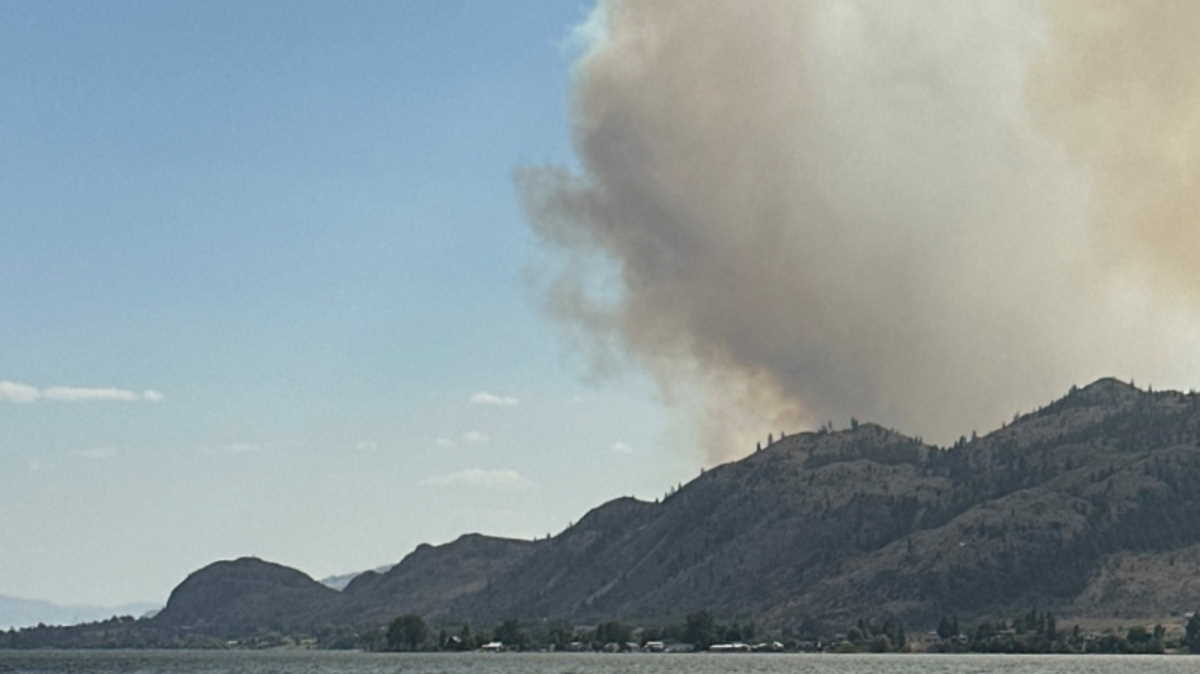 Third firefighter dies as 613 of the 990 fires out of control in Canada ...