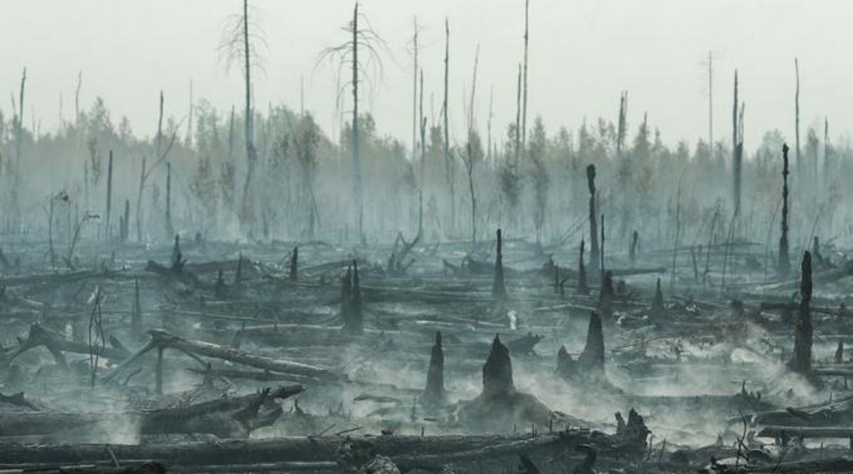 Russian military puts out wildfires on over 700,000 hectares in Siberia ...