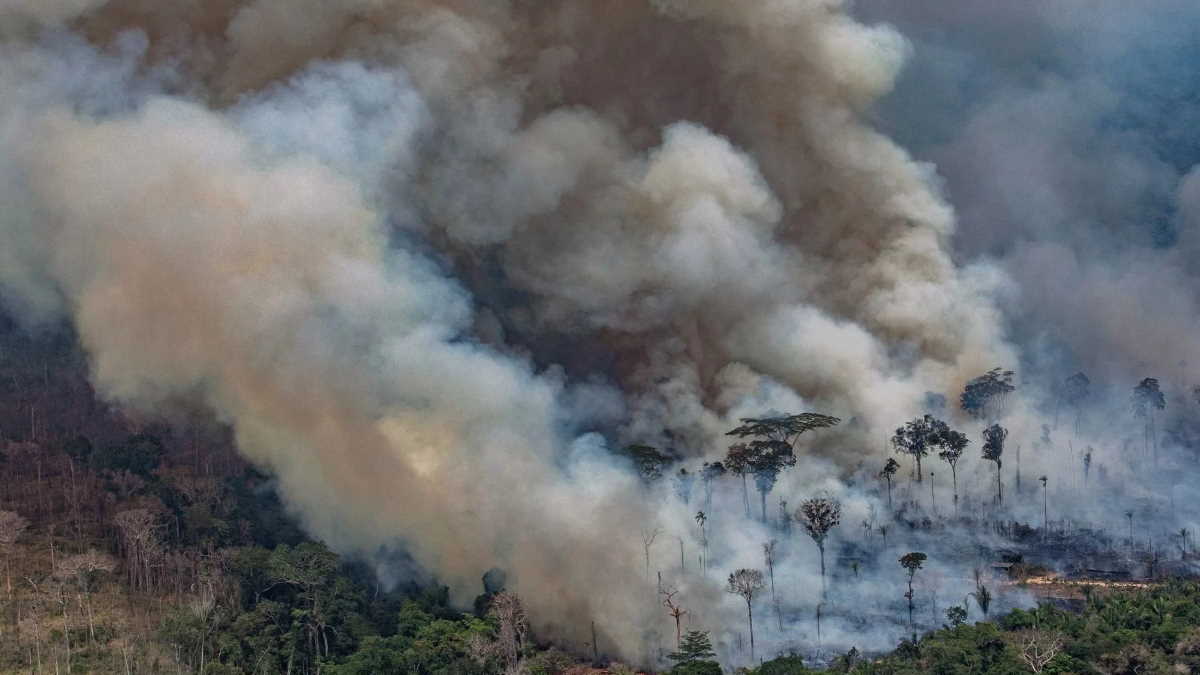 More fires burning in Angola and Congo than in Amazon | News | POST ...