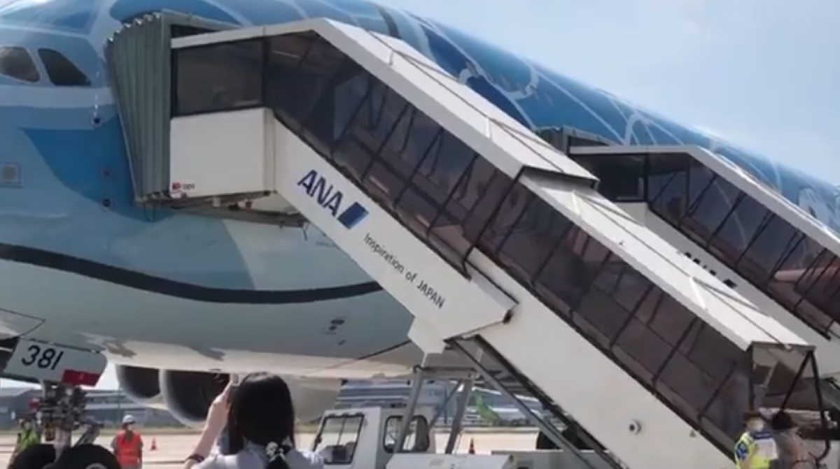 ANA carried out a sightseeing flight with its Flying Honu | Companies ...