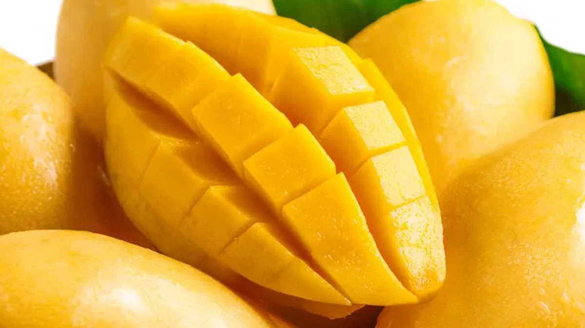Pakistan ships 7,000 tons of mangoes to Saudi Arabia | Agrifish | POST ...