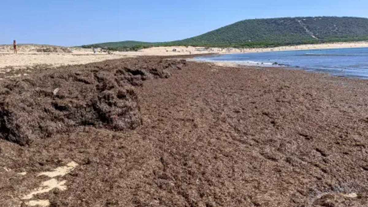 Water restrictions adopted in Spain amid continuous drought | News ...