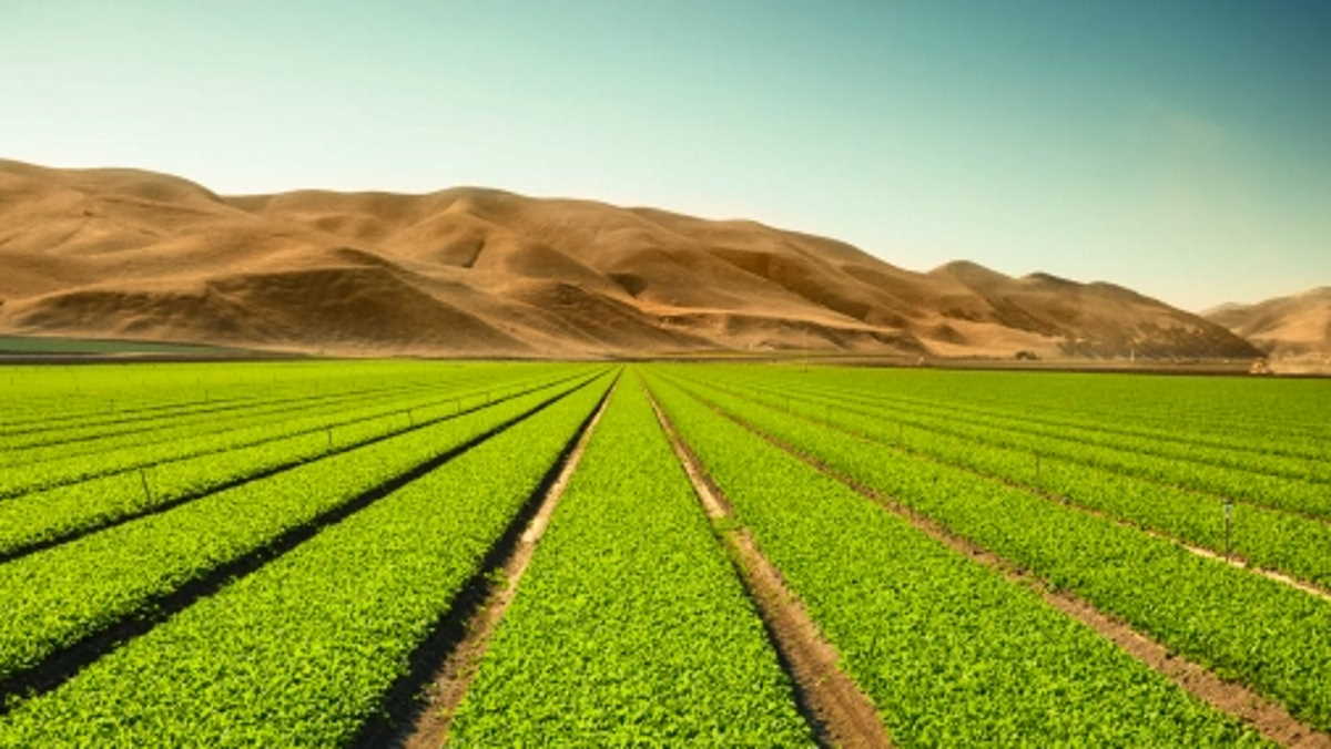 New solar project to expand Farmland Partnersâ€™ renewable energy ...