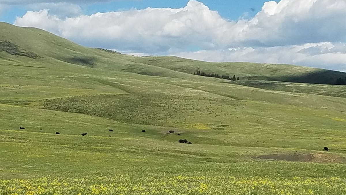 U.S.: Cool air mass coming into northern Plains, heat for rest of ...
