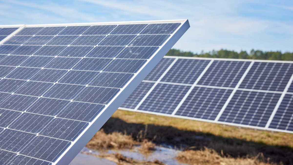 RWE strengthens its Polish renewables business with acquisition of 3 ...