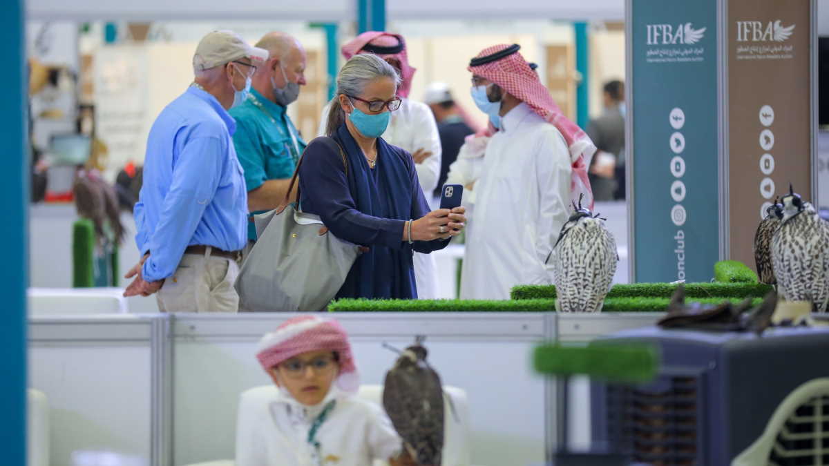 Saudi Falcons Club to host largest international falcon auction in the ...